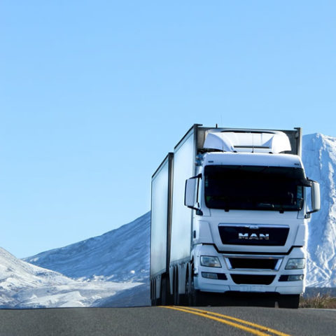 Shipping to Denmark: Express & Groupage Road Freight - Westward Freight Ltd